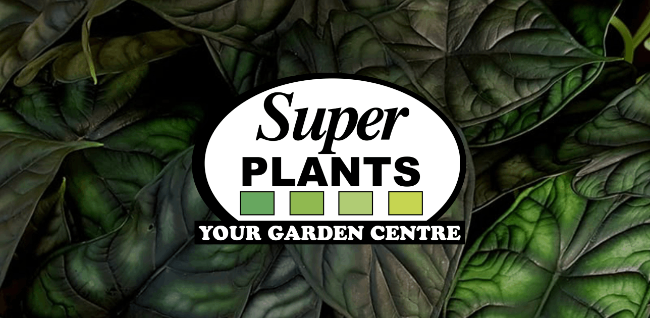 SuperPlants - Your Garden Centre